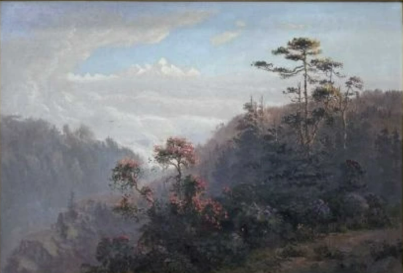 Alexander Scott – Great Banyan Art